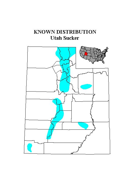 Species database - Utah Natural Heritage Program Field Guide